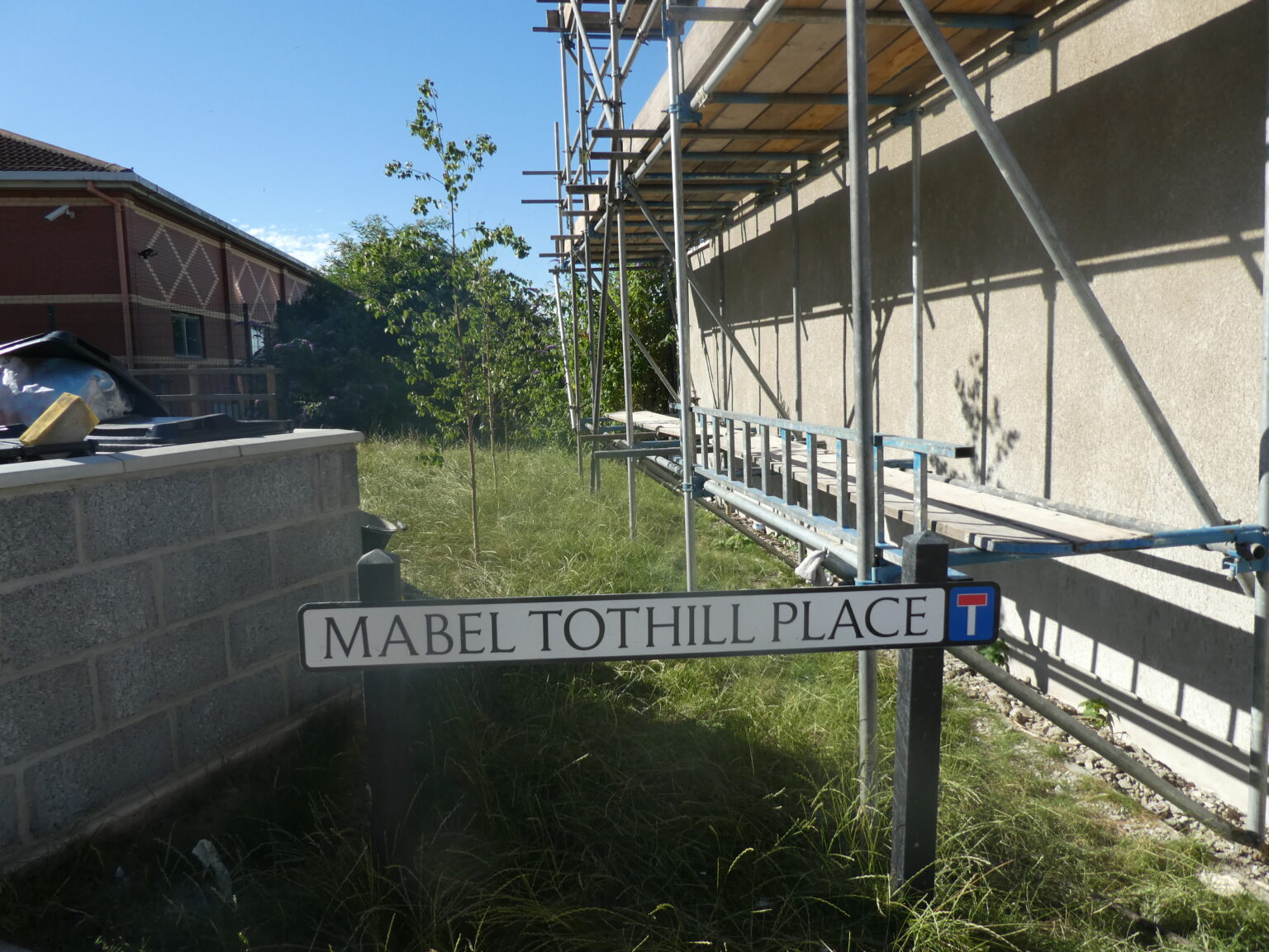 Feminist, Socialist, Pacifist - Mabel Tothill Place - Bristol Radical ...